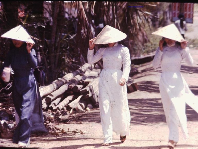 Traditional Vietnamese Costume Ao Dai Dress: History of Beauty